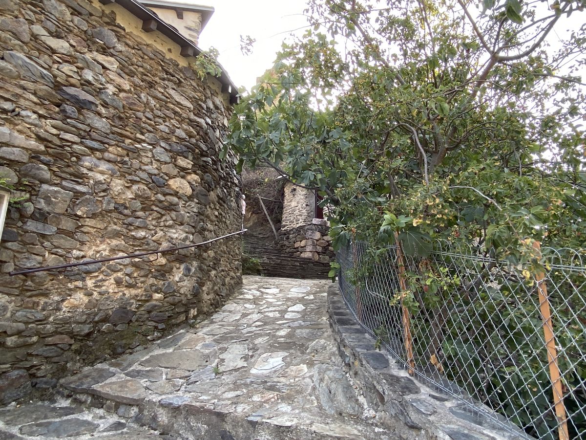 Photos des Pyrénées-Orientales