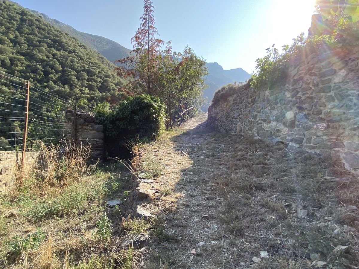 Photos des Pyrénées-Orientales